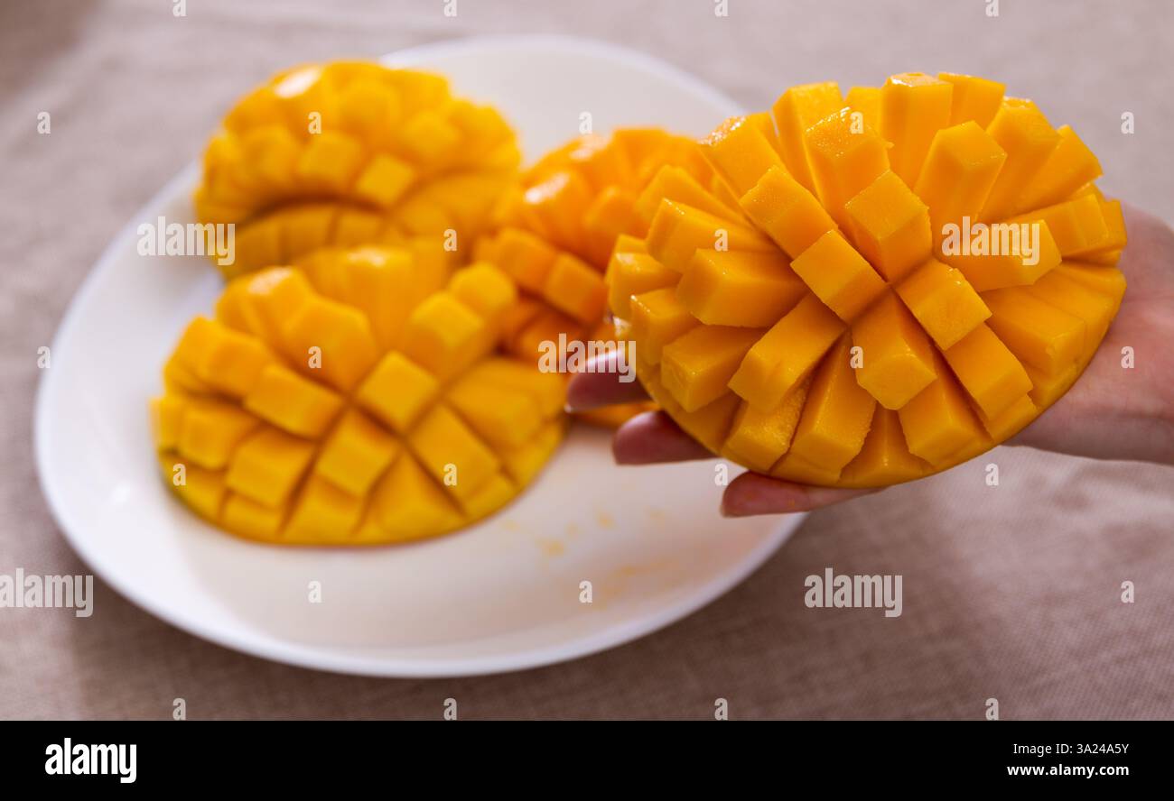 On plate - parts of cut ripe mango. Female hand holds one half of ...