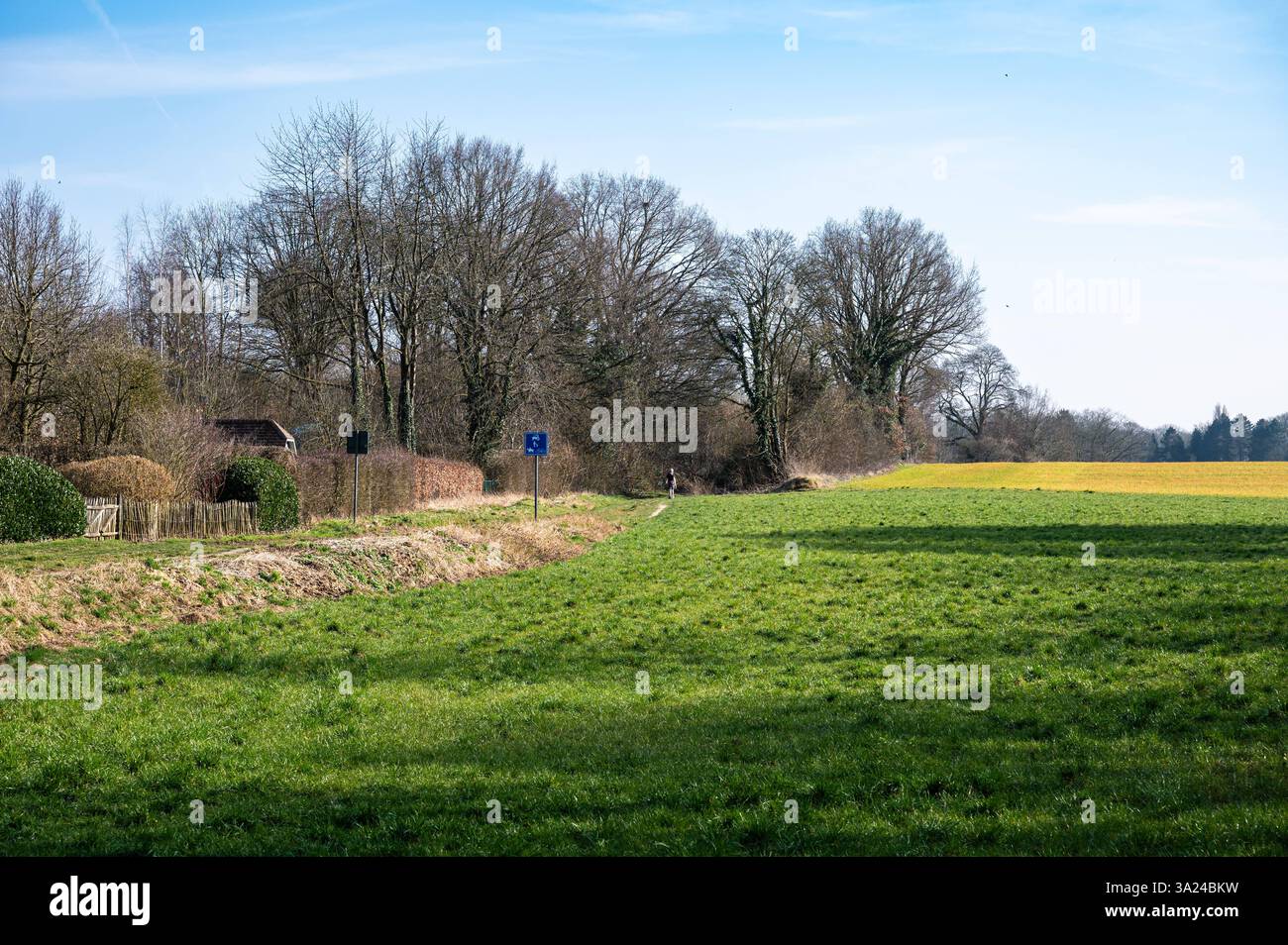 Green meadows and trees at the Flanders countryside in the village of ...