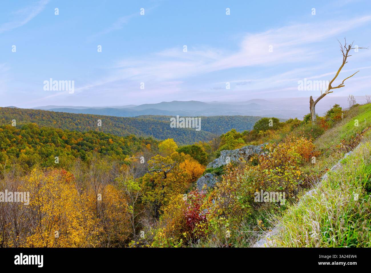 Panoramic view of the Virginia Blue Ridge Mountains from Skyline Drive in Shenandoah National ...