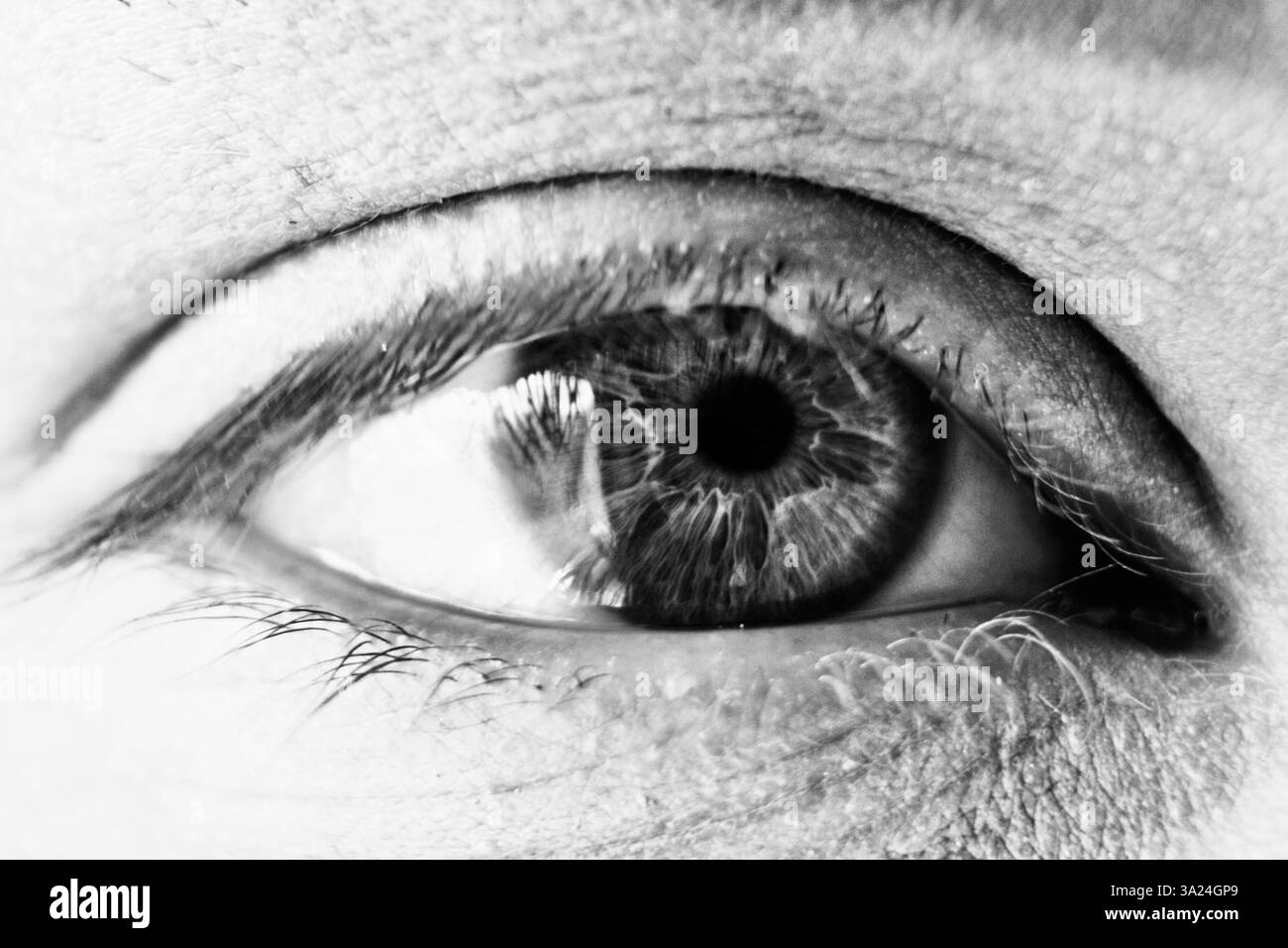 Beautiful young woman eyelash Black and White Stock Photos & Images - Alamy