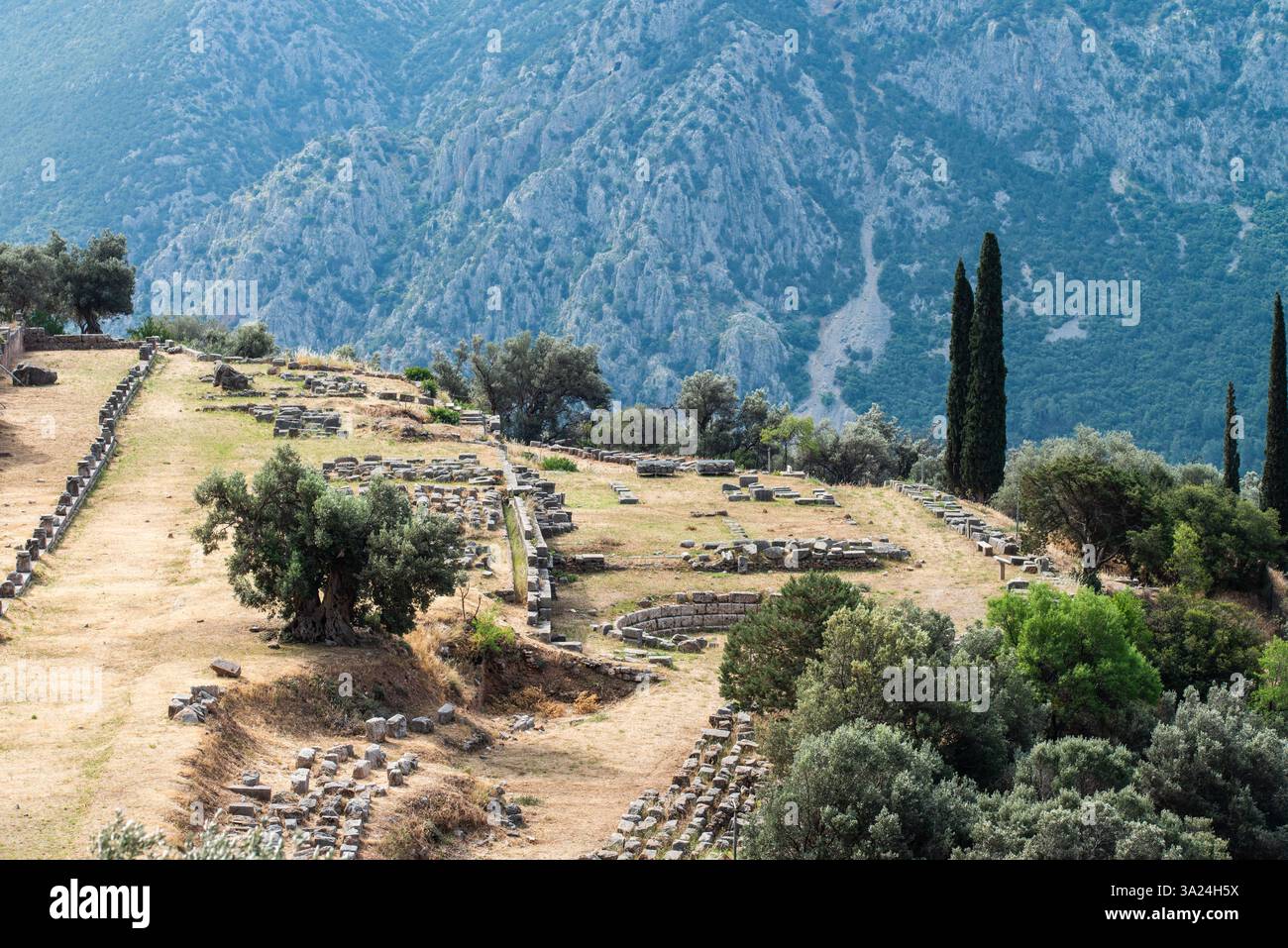 The Ancient Gymnasium at Delphi, Greece Stock Photo - Alamy