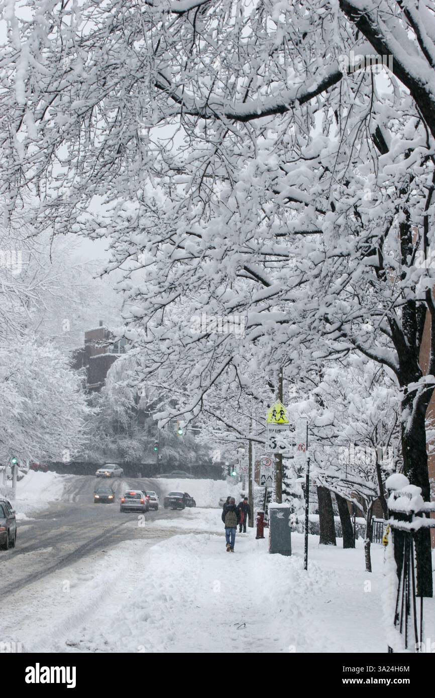 Snow storm Westmount, Quebec, Canada Stock Photo - Alamy