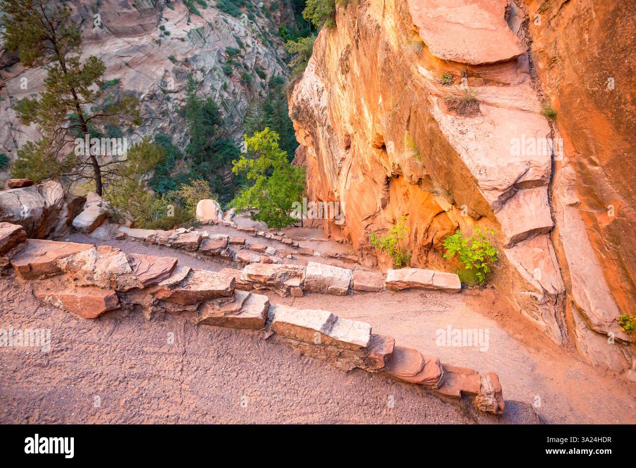 Steep switchbacks known as Walter's Wiggles along the West Rim Trail to ...