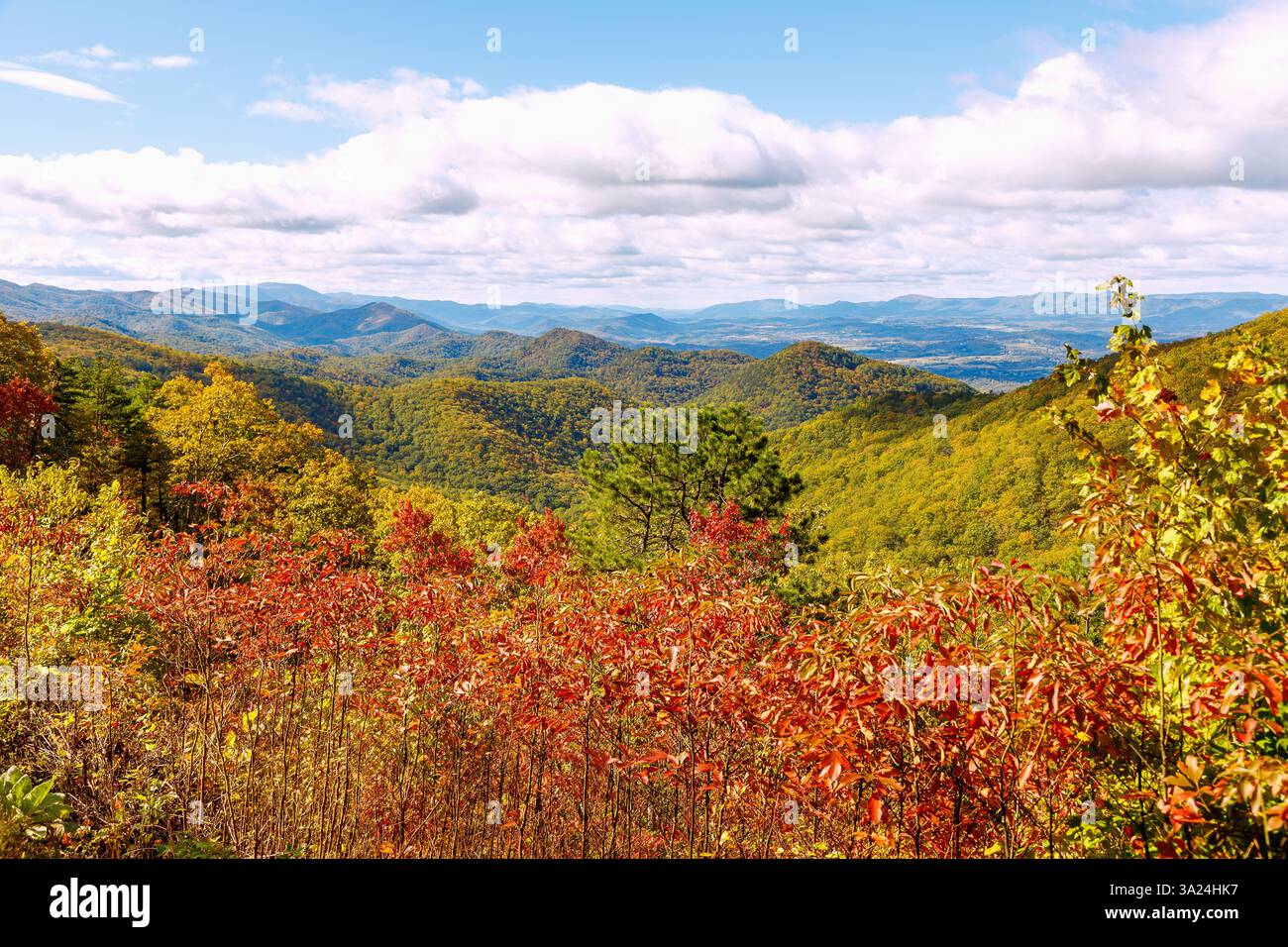 View from View Buena Vista of the Blue Ridge Mountains from the Blue ...