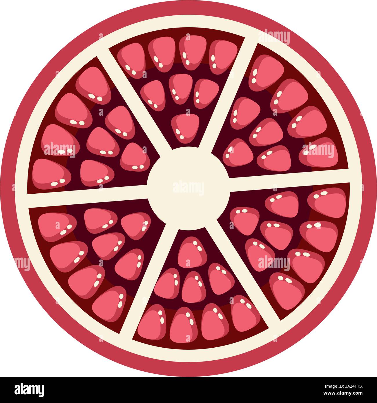 Pomegranate orange cut Stock Vector Images - Alamy