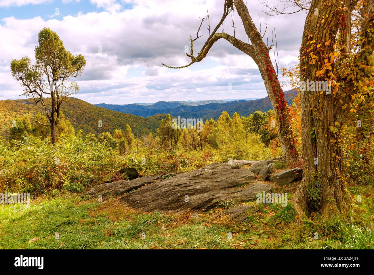 View from View 3 Ridges Mountain of the Blue Ridge Mountains from the ...