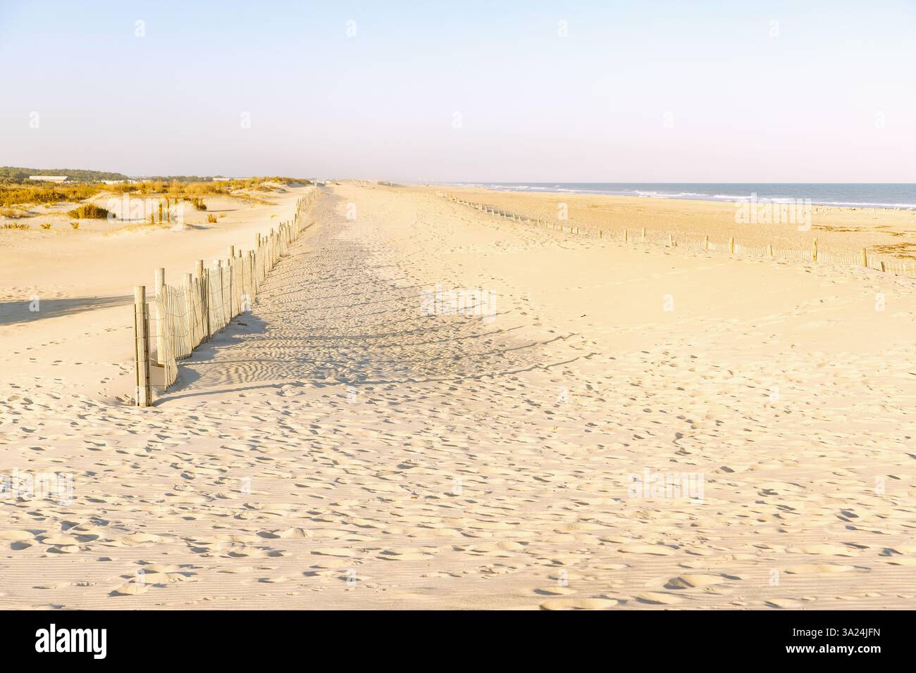 South Ocean Beach in Assateague Island National Seashore on Assateague ...