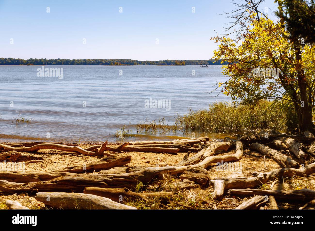 Former ship landing place on the James River at Berkeley Plantation in ...