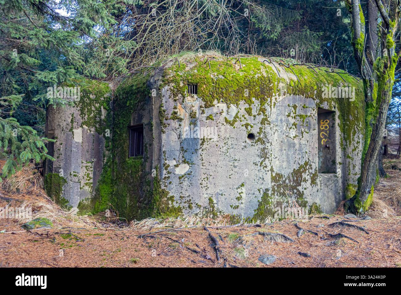 Concrete bunker for border defense before World War II in the forest ...