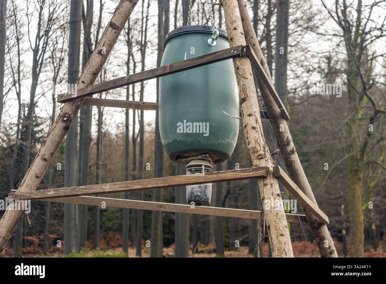 A structure of an automatic animal feeder in the forest Stock Photo - Alamy