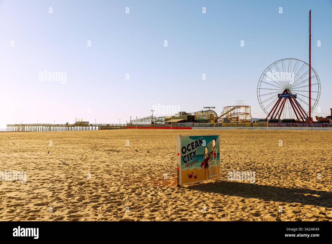 Beach and Fishing Pier with Ferris wheel and Jolly Roger at the Pier ...