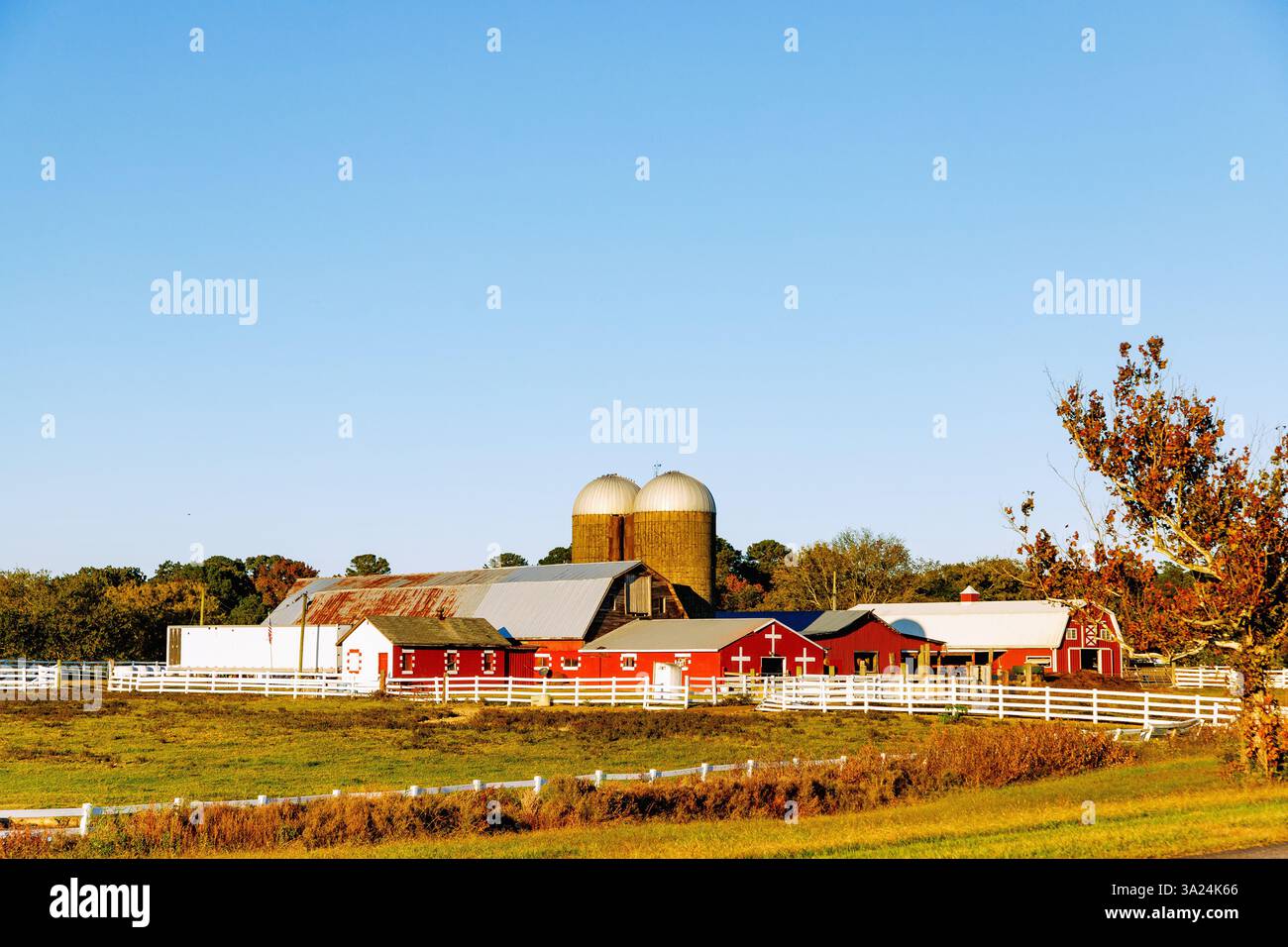 Farm and pasture in the Historic Triangle in Williamsburg, Virginia ...