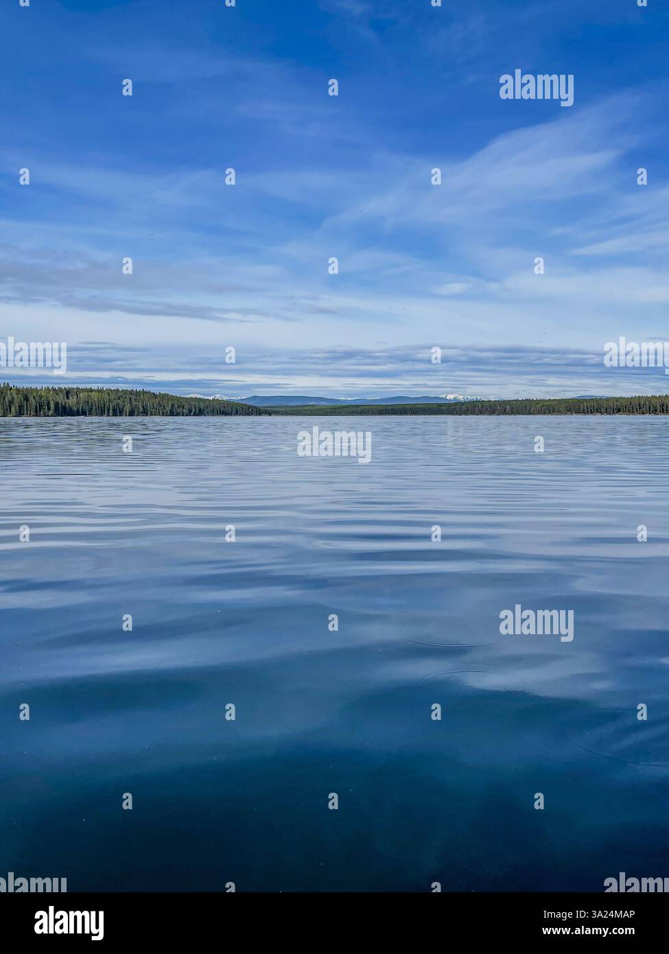 A tranquil lake reflecting the blue sky, with a forested shoreline and distant snow-covered ...