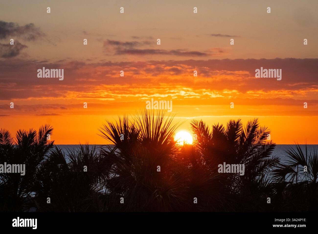Sunrise over the Atlantic Ocean in St Augustine Beach Florida USA Stock ...