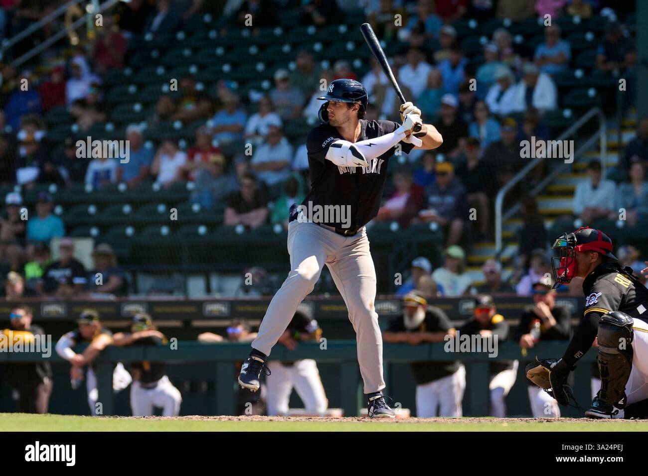 New York Yankees Spencer Jones (78) at bat during an MLB Spring ...