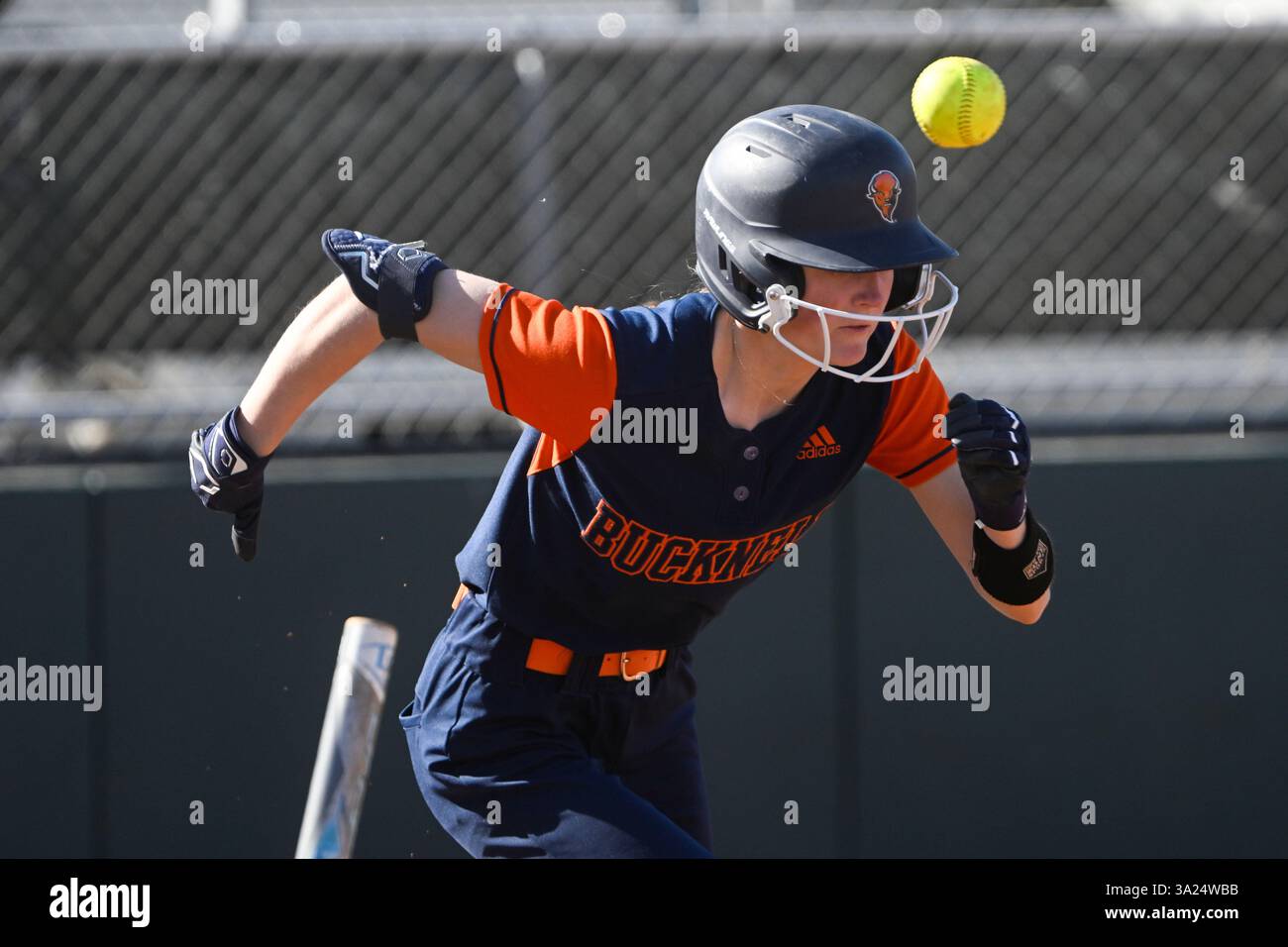 Bucknell's Haley Speicher (1) heads to first on her bunt against ...