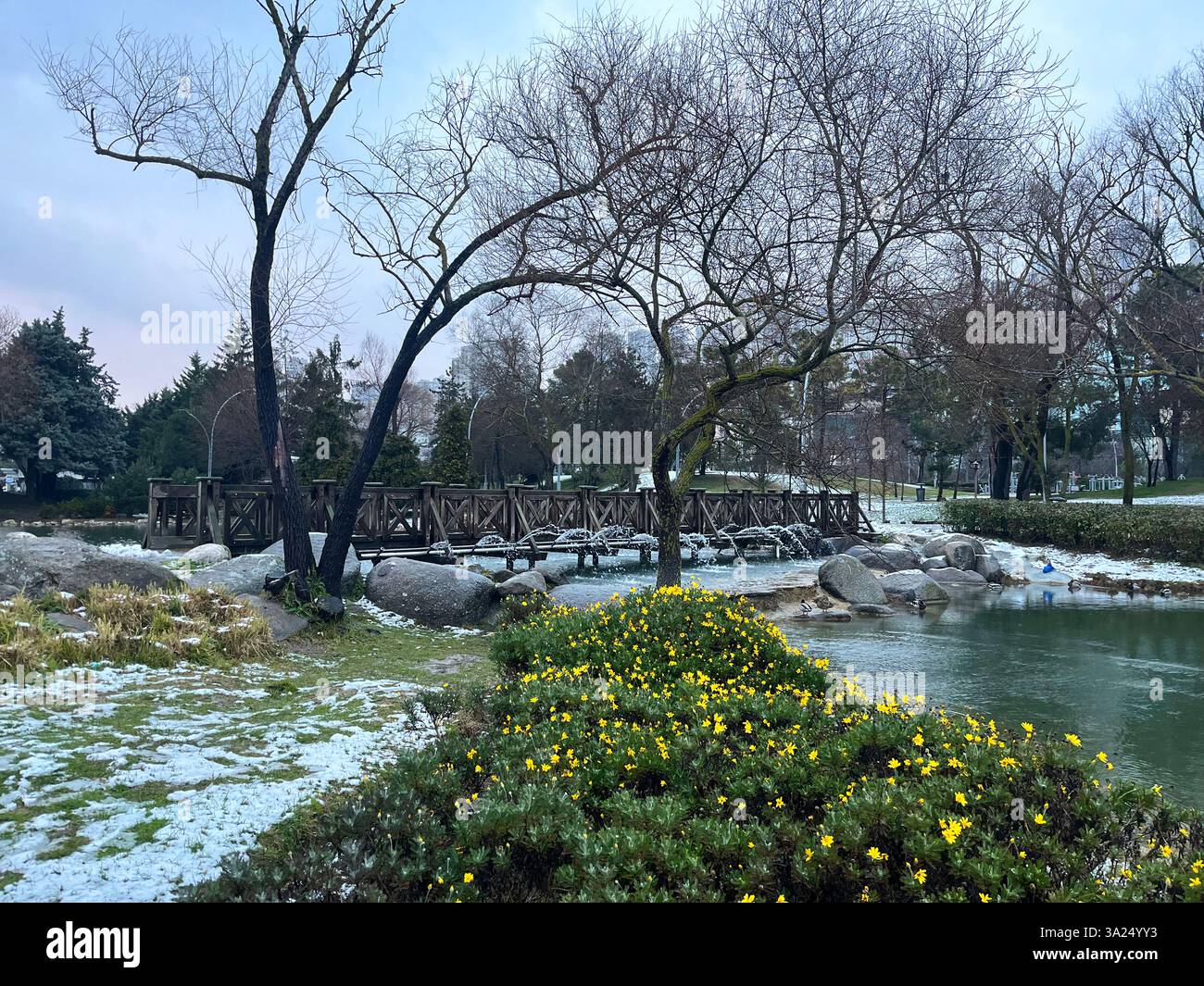Artificial lake park at snowy day in Istanbul, Turkey Stock Photo - Alamy