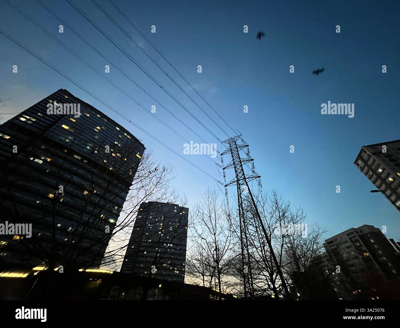 Electric transmission tower with buildings silhouette in Istanbul ...