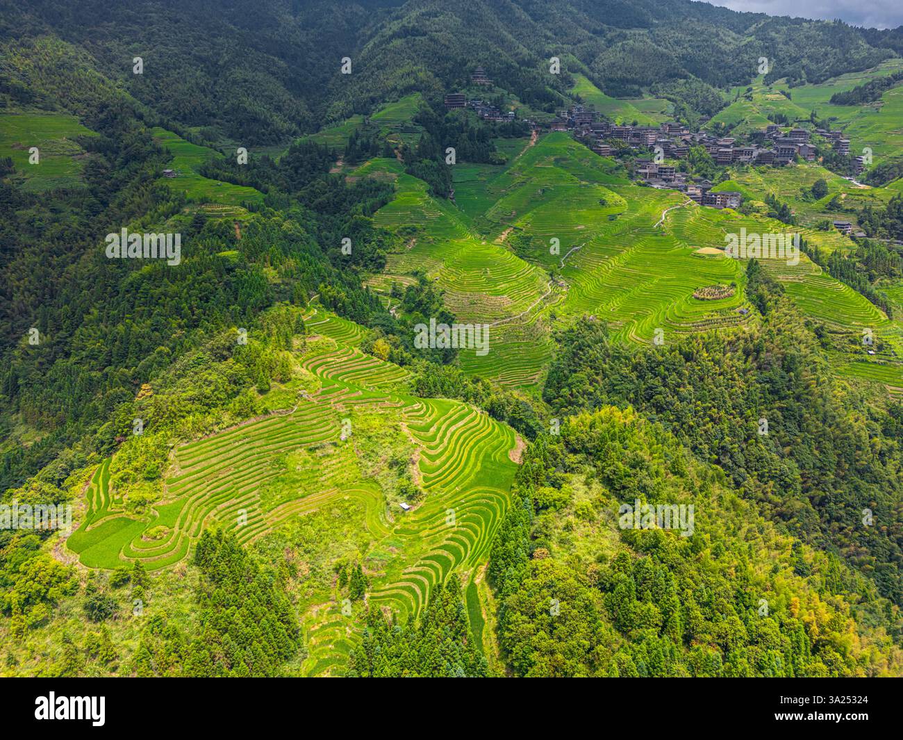 The aerial photo of the slopes of the Longji rice terraces in Longsheng ...