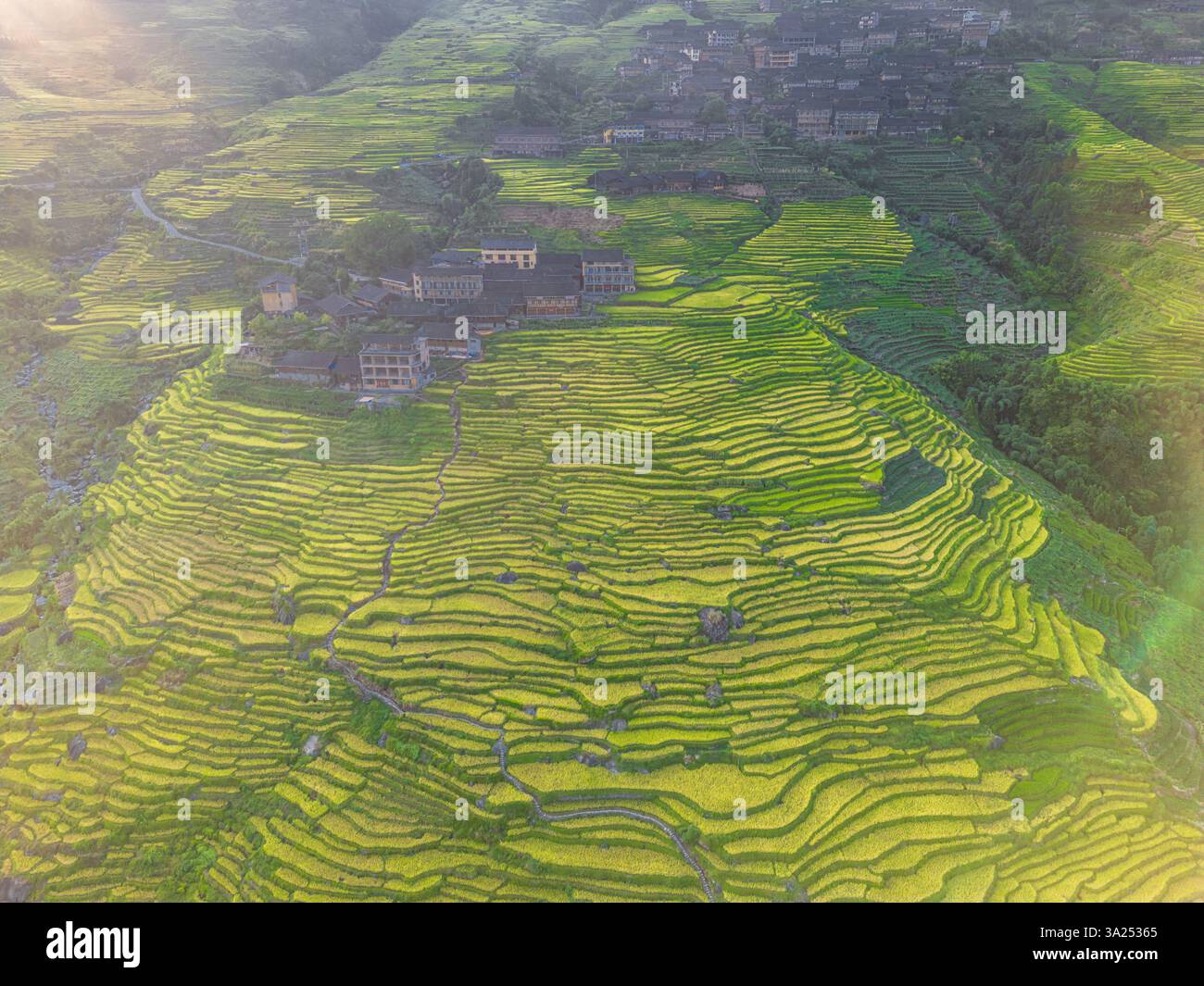 Aerial view of the Rice Terrace and Pingan village in Longji (Dragon's ...