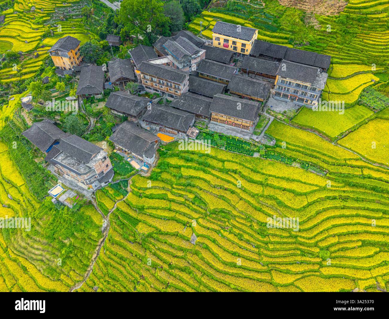 Aerial view of the countryside houses surrounded by yellow and green ...
