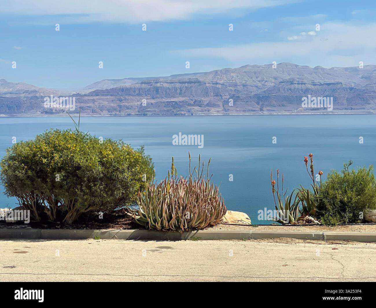 A breathtaking view of the Dead Sea with desert vegetation and rugged ...