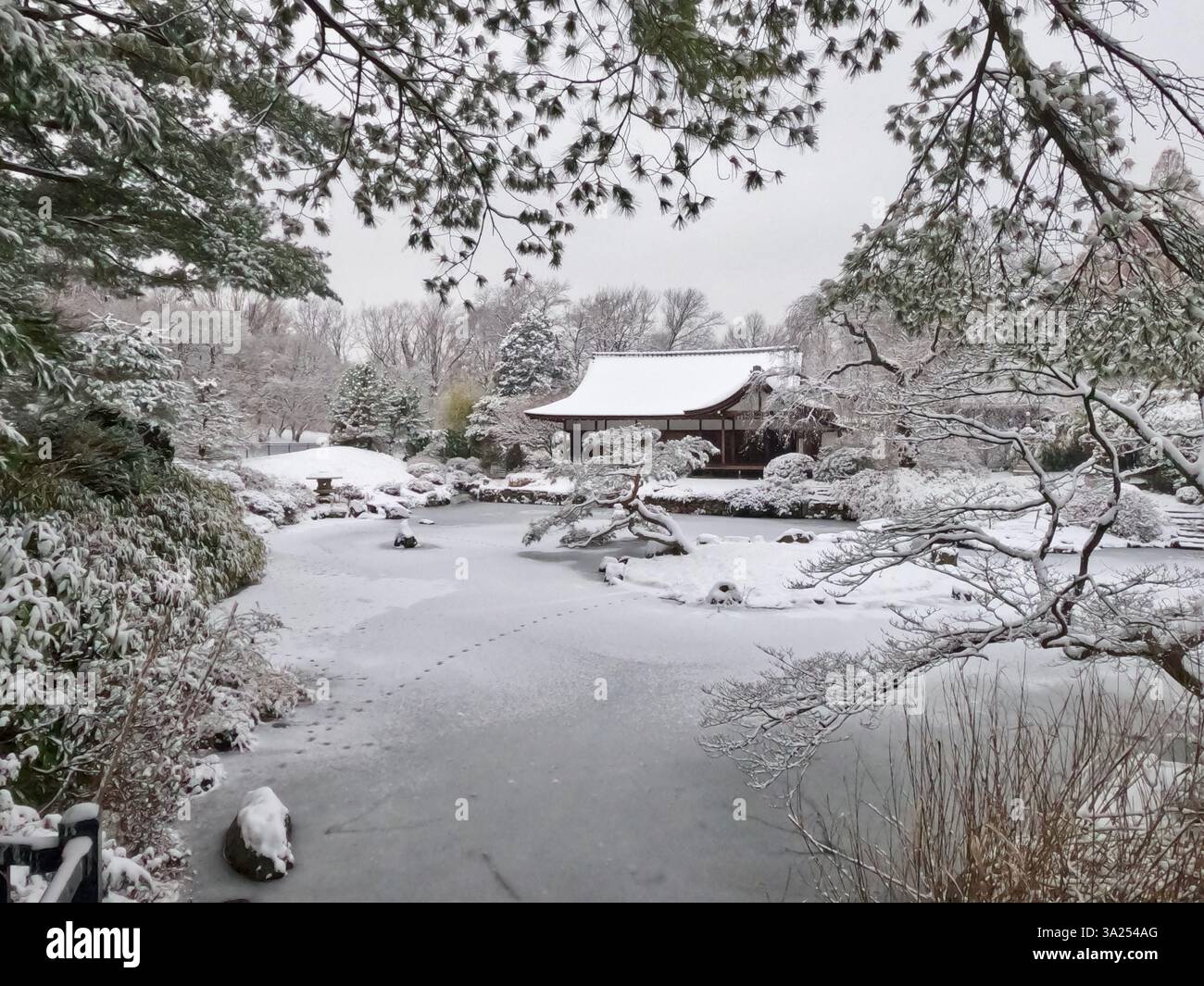 Snow covers the landscape around Shofuso, the Japanese house in ...