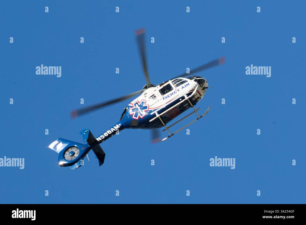 Palm Springs, California, USA. 3rd Mar, 2025. This photograph captures ...