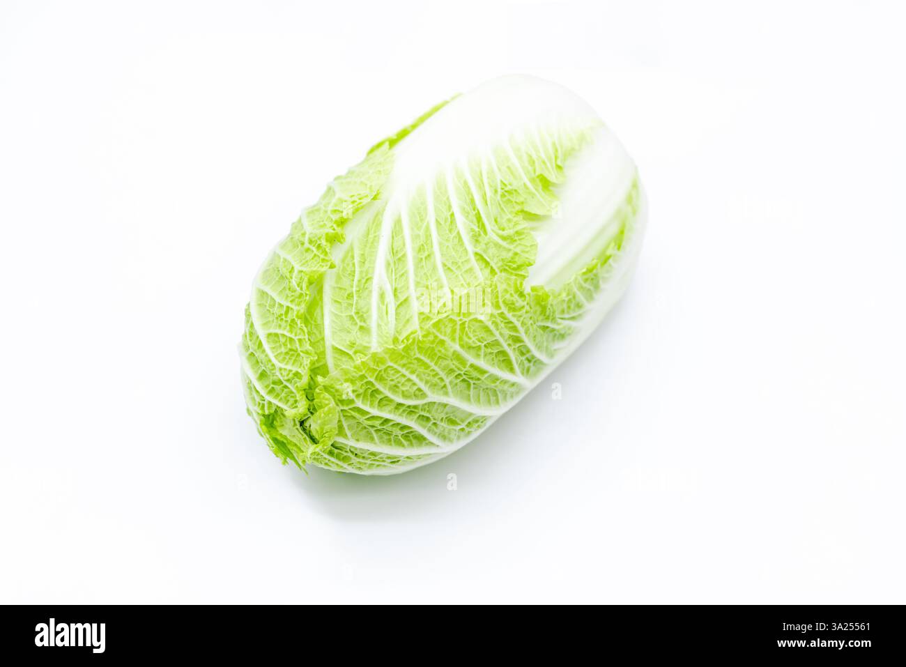 Young white cabbage on Cut Out Stock Images & Pictures - Alamy