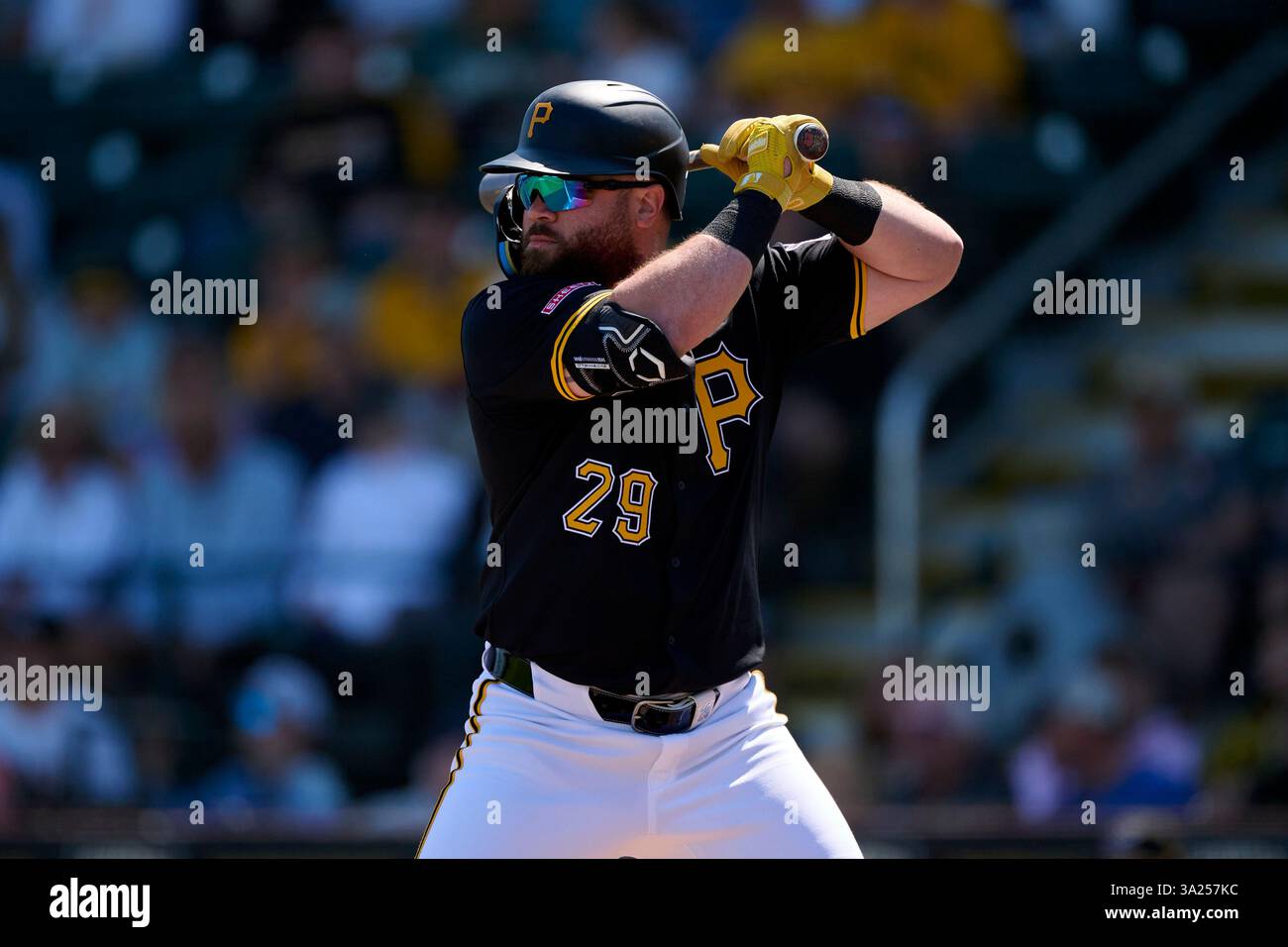 Pittsburgh Pirates DJ Stewart (29) at bat during an MLB Spring Training ...