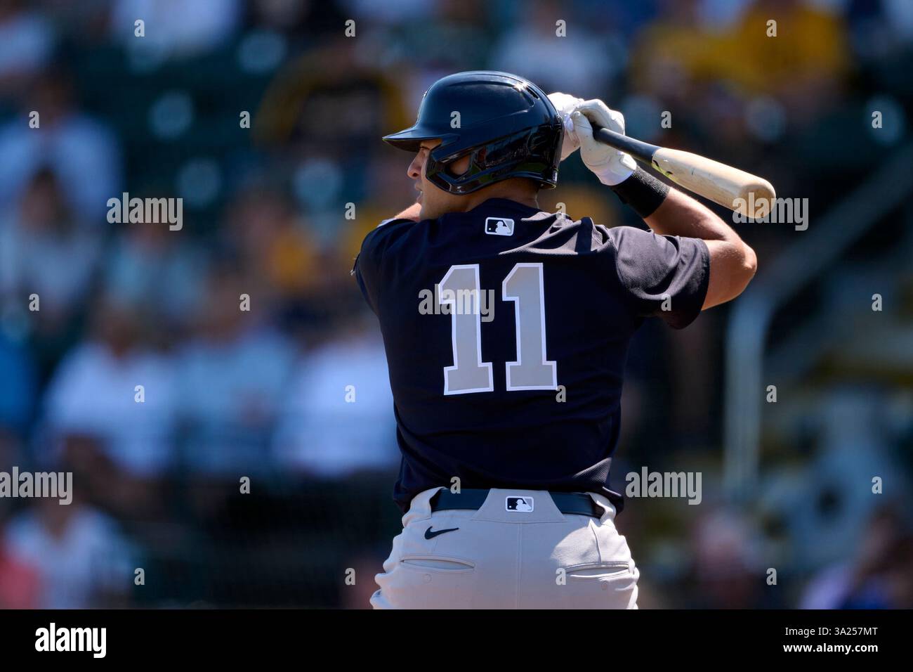New York Yankees Anthony Volpe (11) at bat during an MLB Spring ...