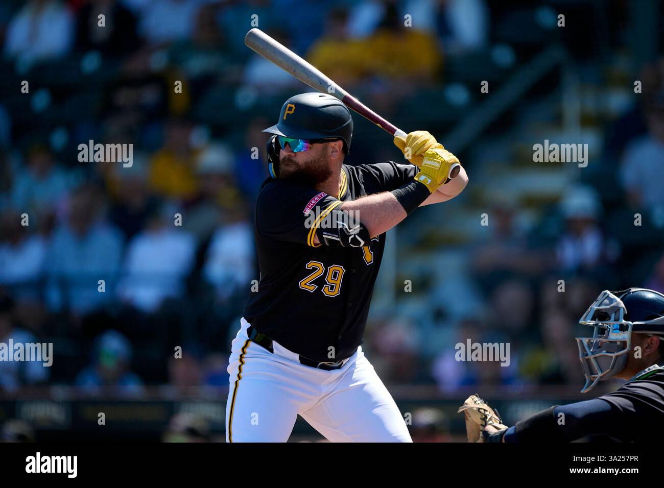 Pittsburgh Pirates DJ Stewart (29) at bat during an MLB Spring Training ...