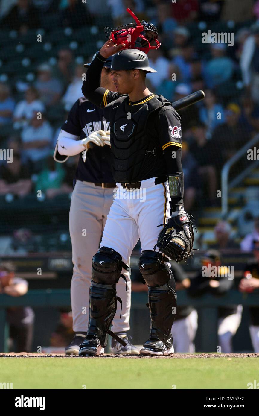 Pittsburgh Pirates catcher Endy Rodriguez (5) during an MLB Spring ...