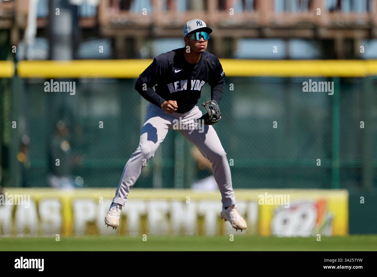 New York Yankees second baseman Brenny Escanio (33) during an MLB ...