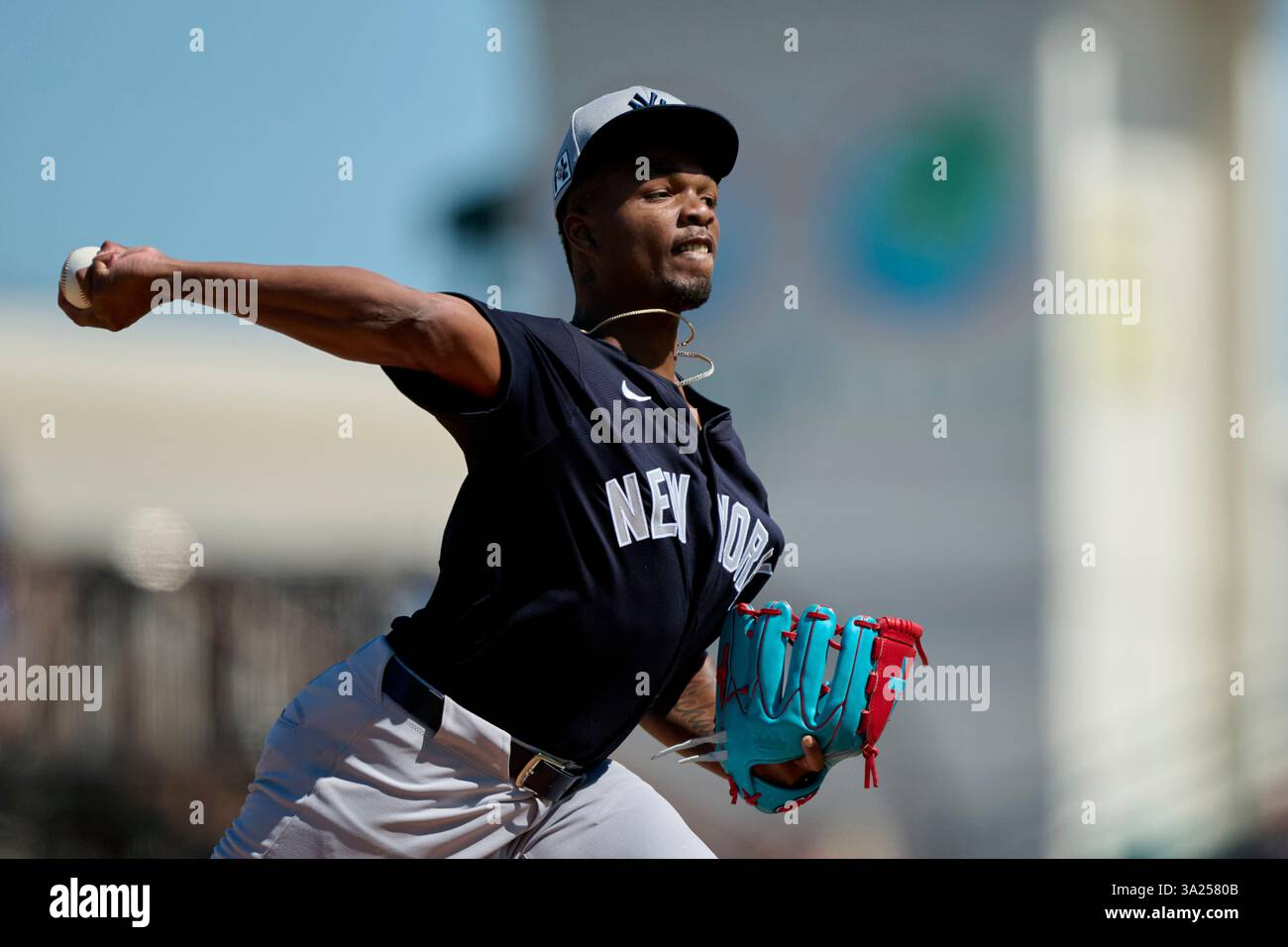 New York Yankees pitcher Michael Arias (83) during an MLB Spring ...