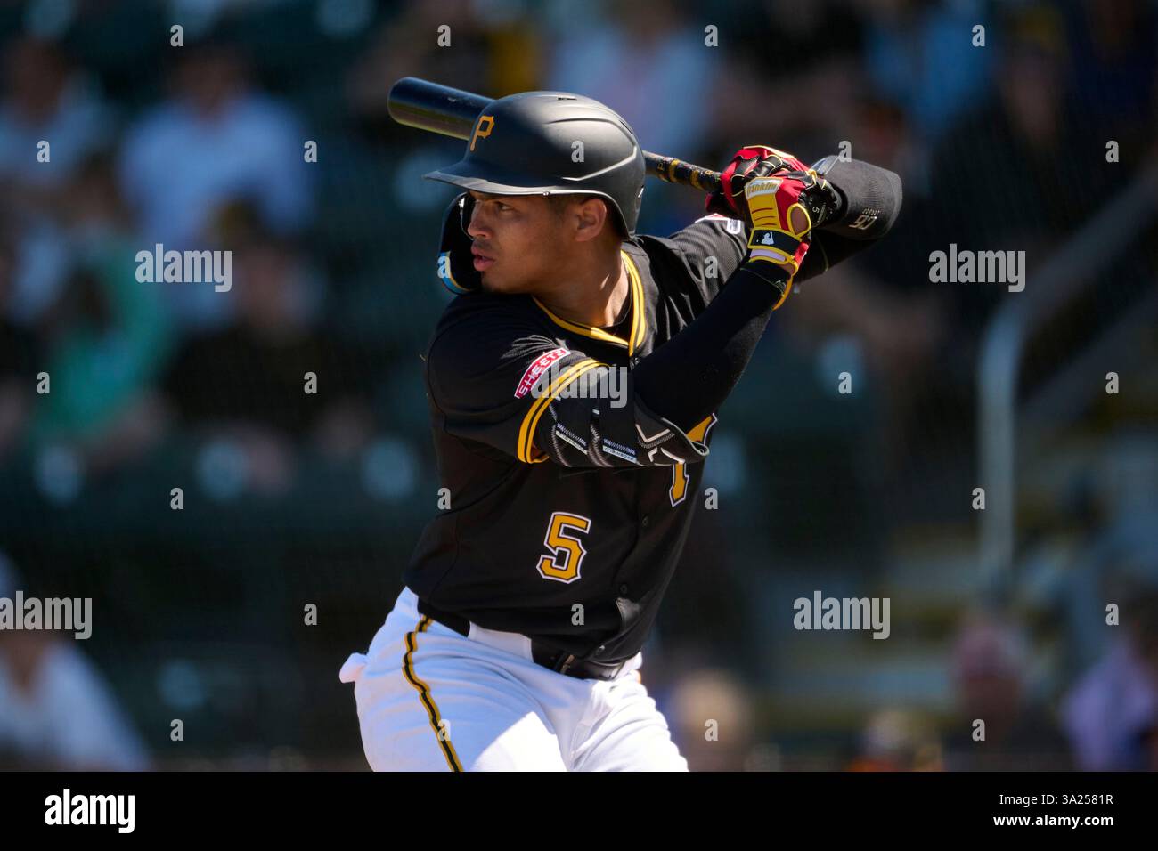 Pittsburgh Pirates Endy Rodriguez (5) at bat during an MLB Spring ...