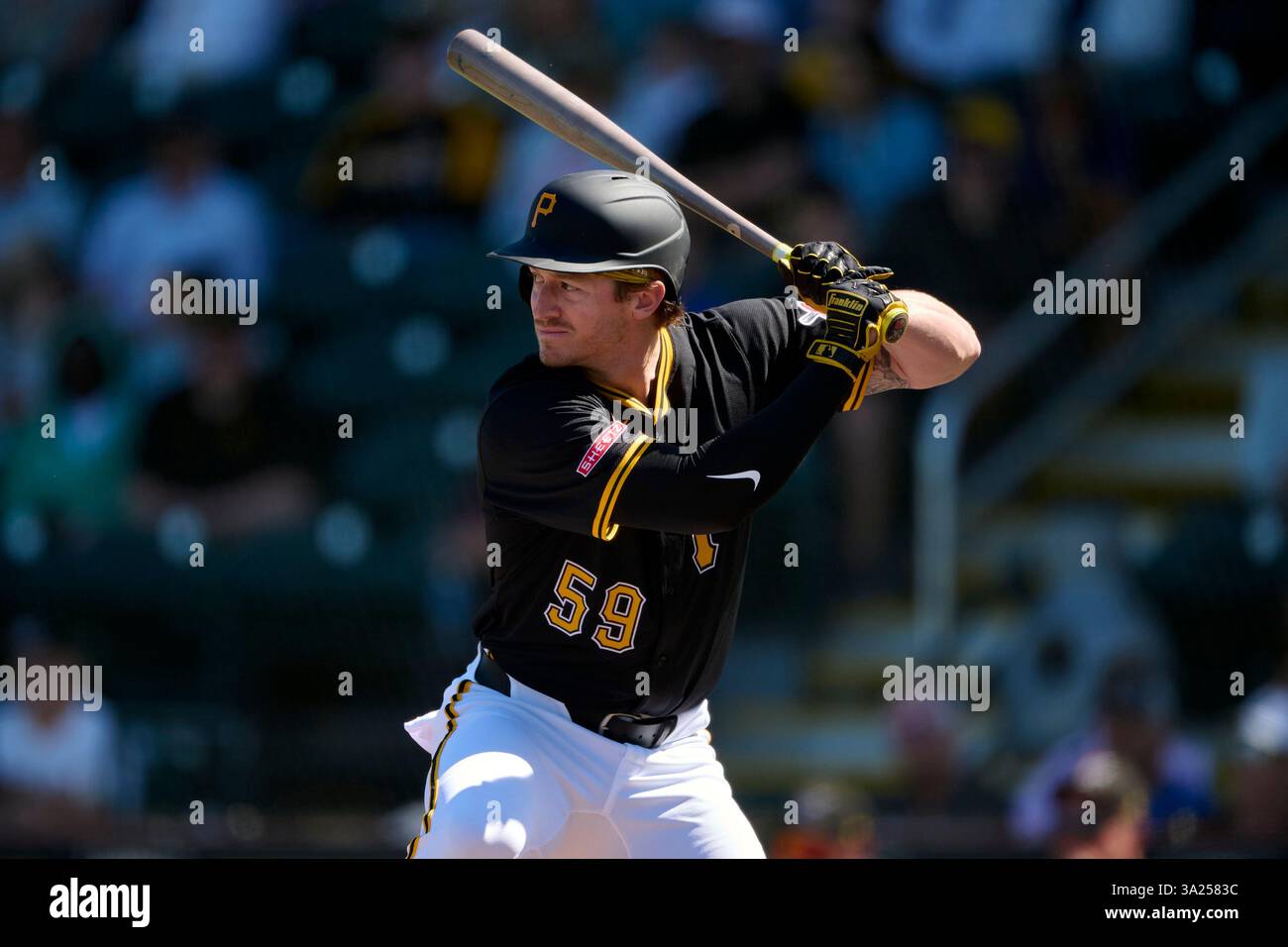 Pittsburgh Pirates Bryce Johnson (59) at bat during an MLB Spring ...
