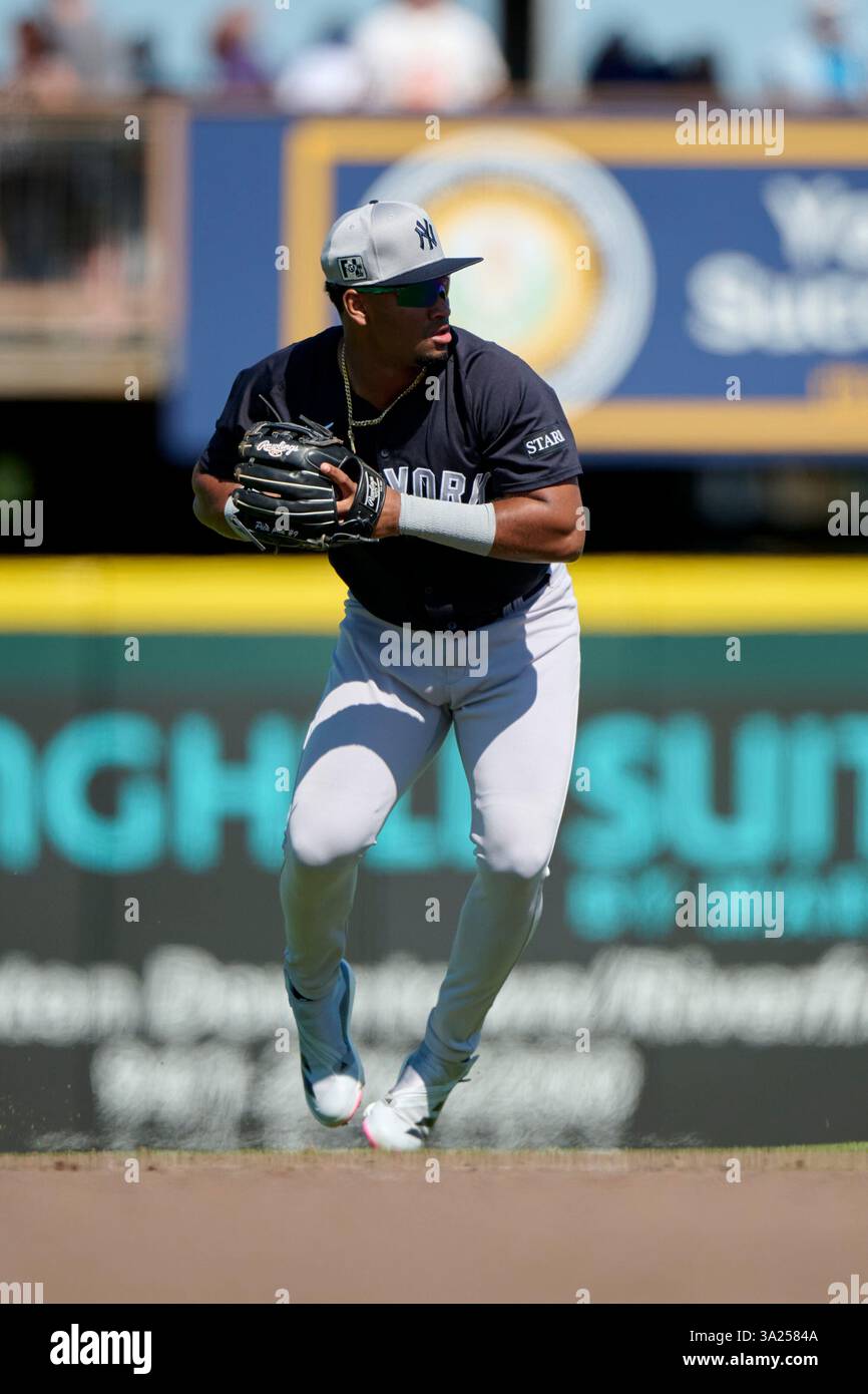New York Yankees shortstop Roderick Arias (84) throws to first base ...