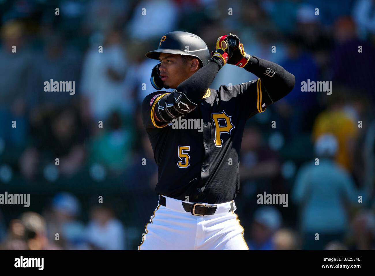 Pittsburgh Pirates Endy Rodriguez (5) at bat during an MLB Spring ...