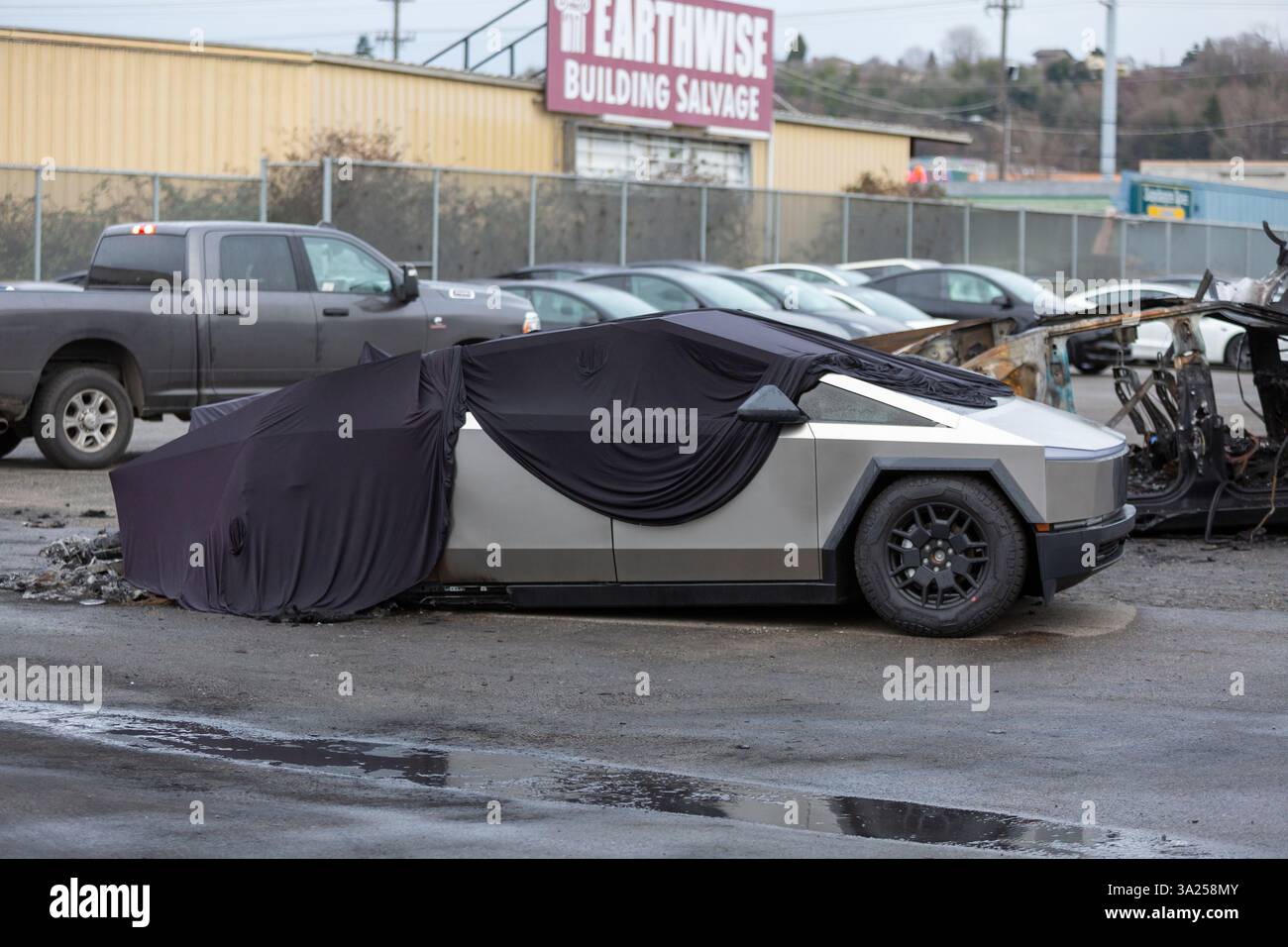 Seattle, Washington, USA. 11th March 2025. Members of a maintenance ...