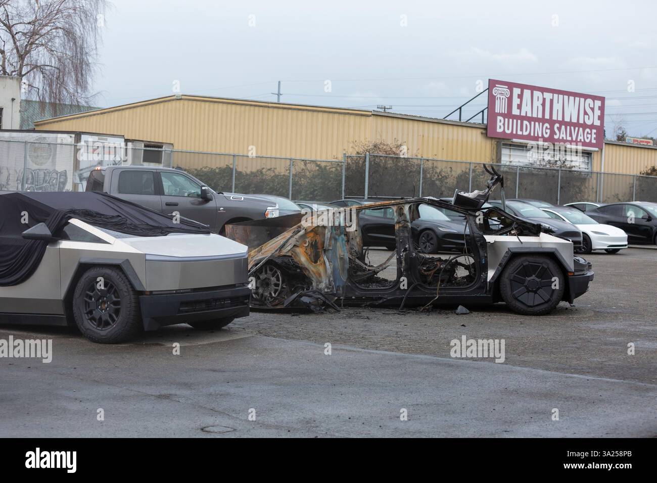 Seattle, Washington, USA. 11th March 2025. Members of a maintenance ...