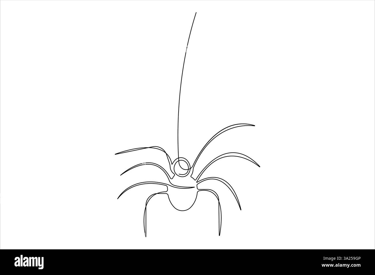 Vector continuous one line art drawing of spider illustration design ...
