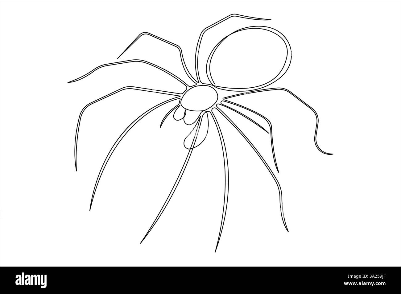 Vector continuous one line art drawing of spider illustration design ...