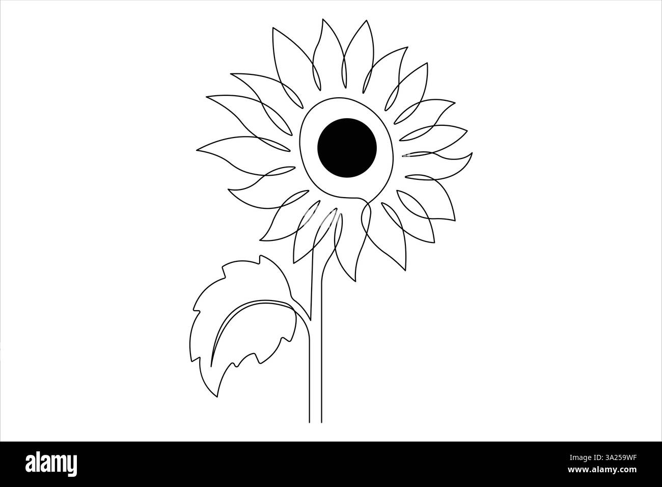 Sunflower continuous single one line art drawing outline vector art ...