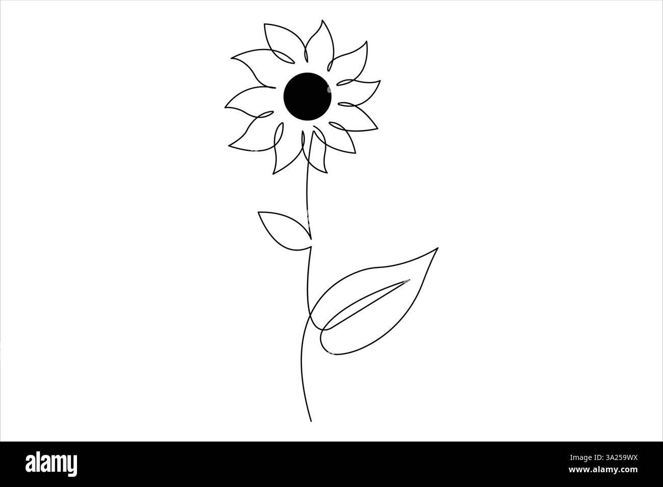 Sunflower continuous single one line art drawing outline vector art ...
