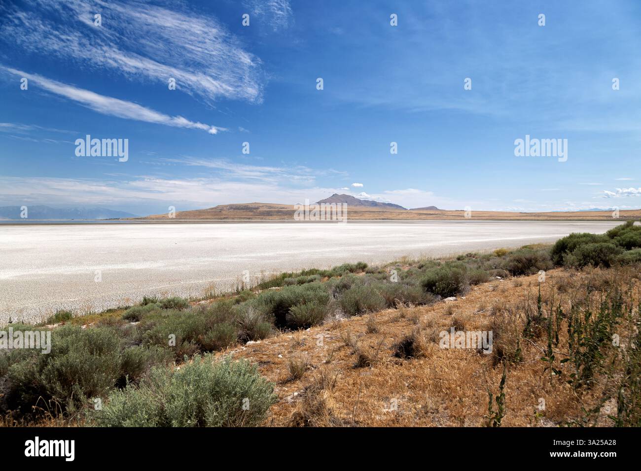Antelope Island State Park, Utah Stock Photo - Alamy