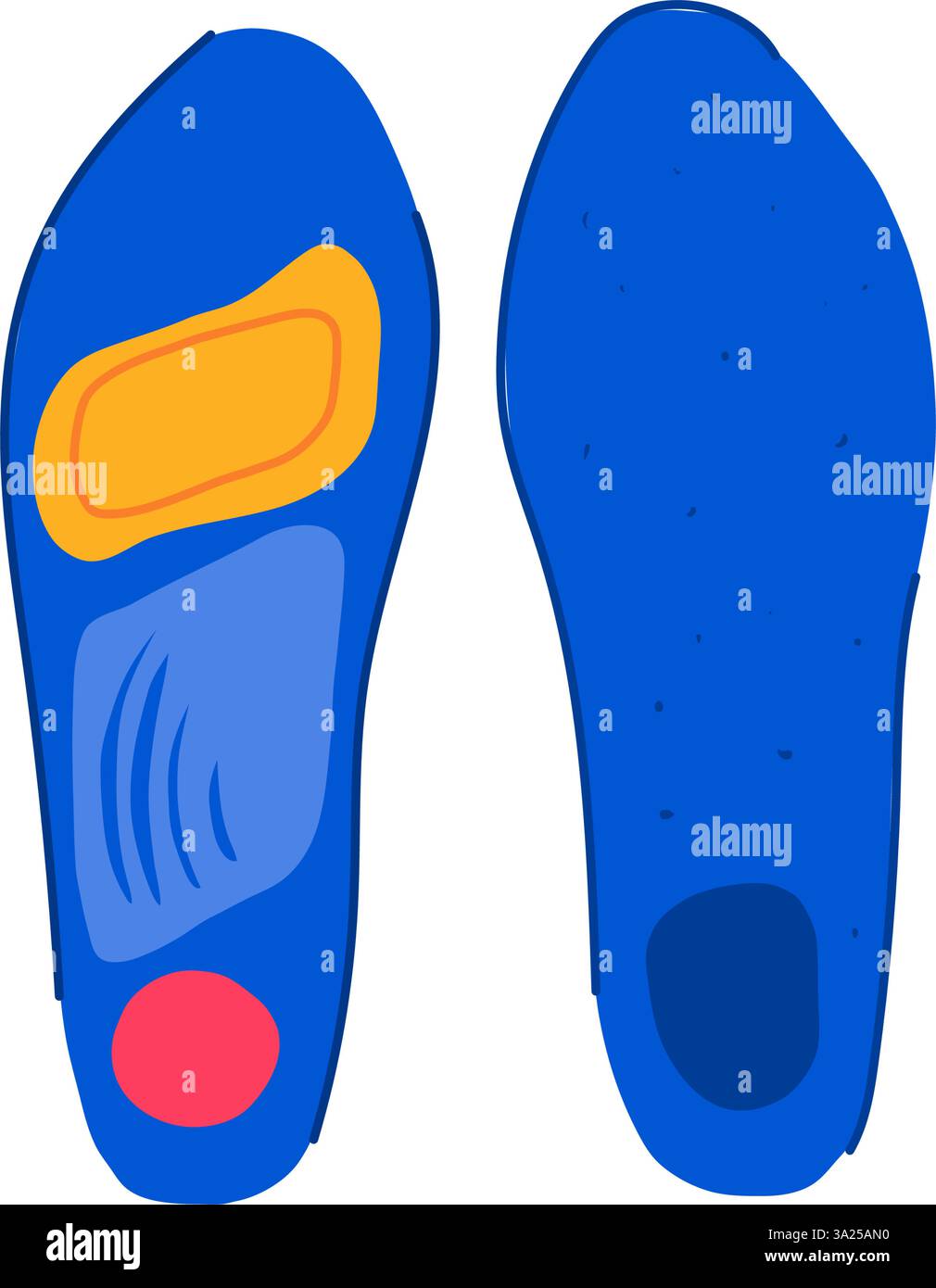 foam insoles cartoon vector illustration Stock Vector Image & Art - Alamy