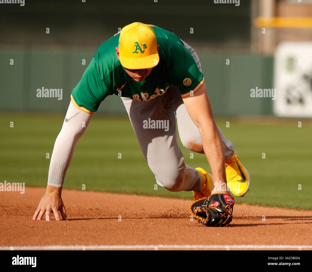 Scottsdale, Arizona, USA. 11th Mar, 2025. Athletics first baseman Tyler ...