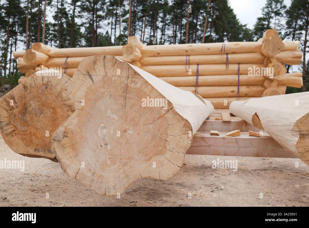 The construction site of a wooden house. Traditional log cabin built ...