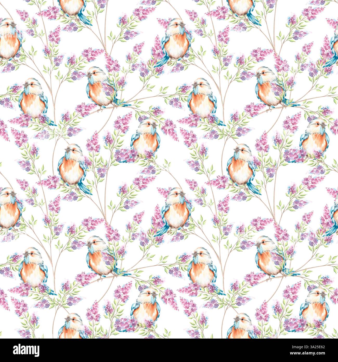 Birds and lilac branches. Twigs of syringa flowers. Spring seamless ...